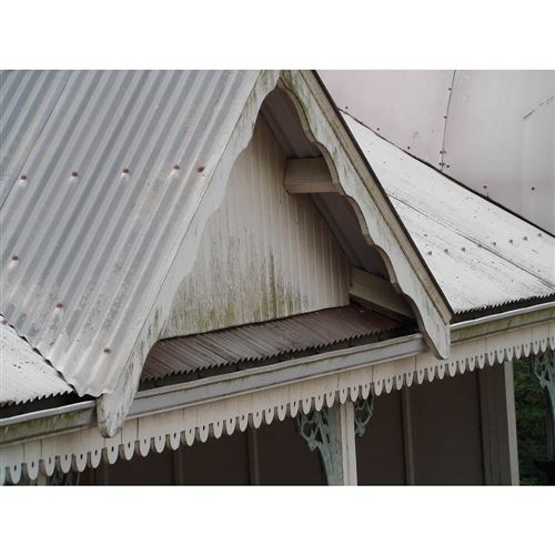 Telescopic Inspection and Survey Camera | Gutter Inspection Camera ...